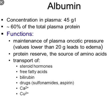 Re: 알부민에 대하여 - diet modification therapy - 치료적 맞춤운동, 비타미네, 영성 연구소