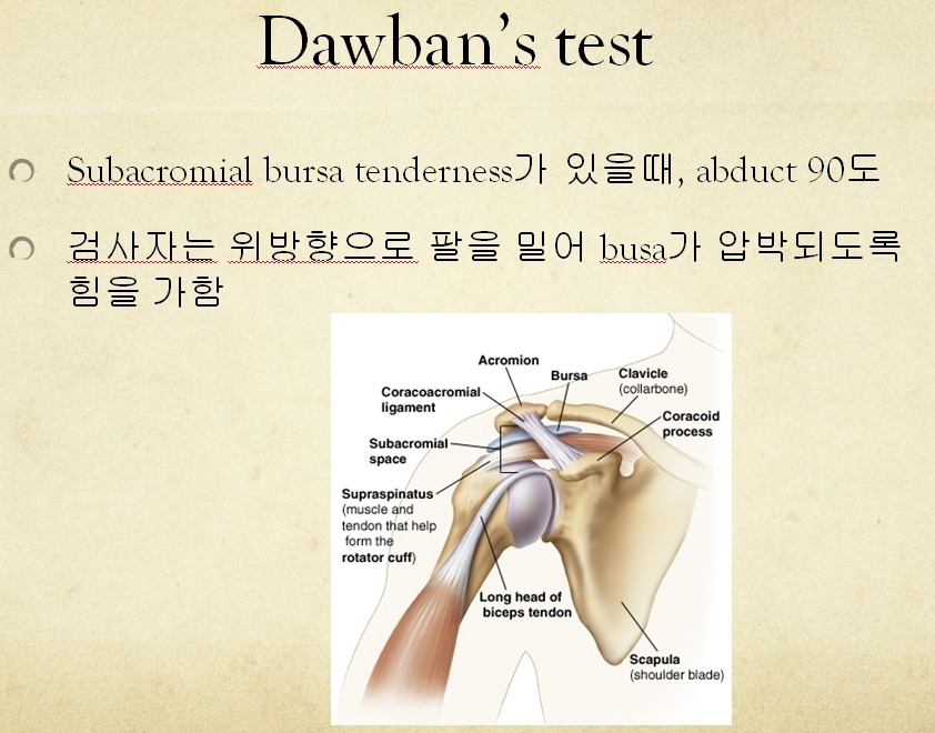 subacromial bursitis검사 Dawban’s test - 특수 이학적 검사법 - 치료적 맞춤운동, 비타미네, 영성 연구소