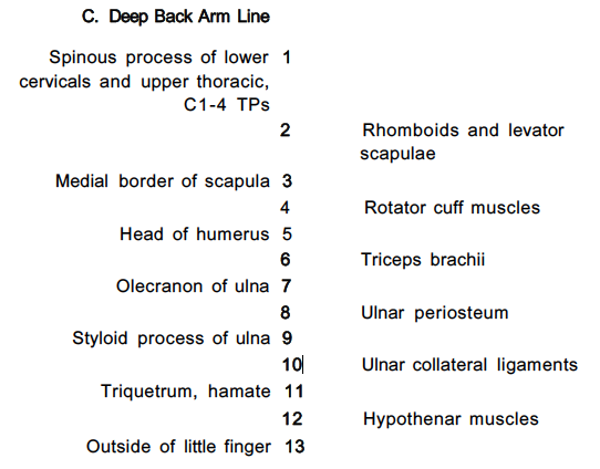 심부후방상지선 deep back arm line - 해부학 연결선과 부정렬 - 치료적 맞춤운동, 비타미네, 영성 연구소