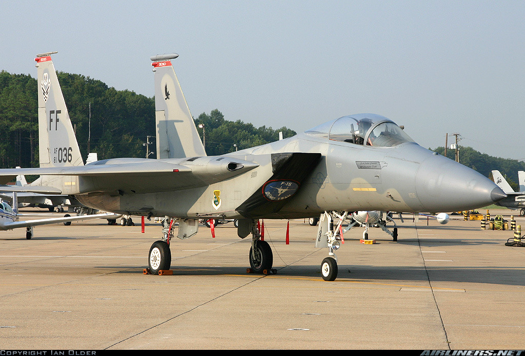 F-15 Mod Eagle Camouflage 안내 - Ⅱ 정보 & 자료실 - 미라지의 콤프방