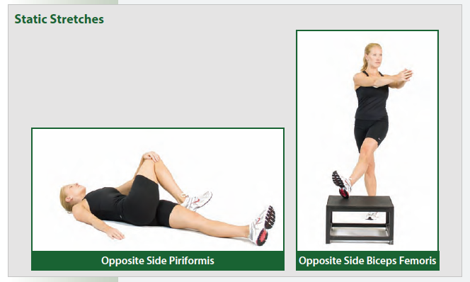 lumbar-pelvis-hip compex overhead squat, one leg squat 검사결과와 치료법 - 정리중 ...