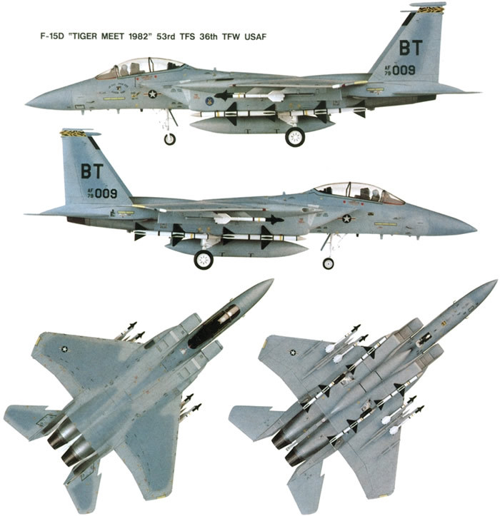 F-15 Mod Eagle Camouflage 안내 - Ⅱ 정보 & 자료실 - 미라지의 콤프방