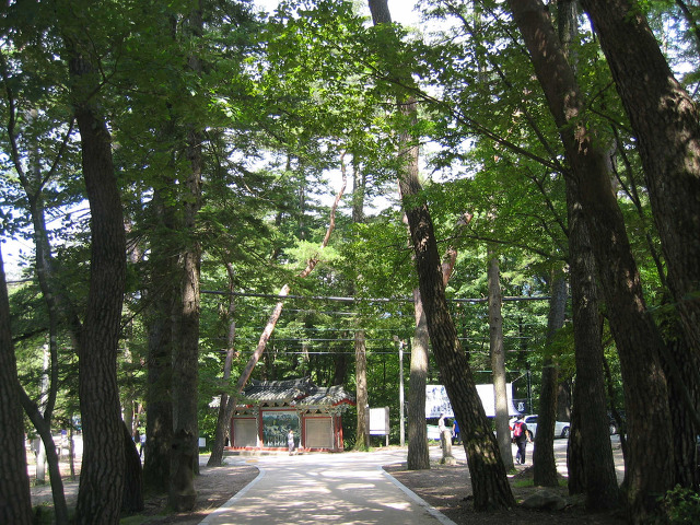 속세를 떠난 곳 속리산 - 풍수답사 - 지종학풍수지리연구소(코리아풍수컨설팅)