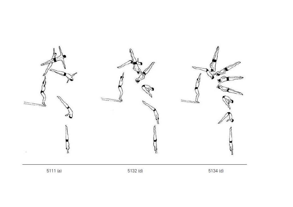 다이빙 번호별 자세 (그림) - 다이빙 규정/규칙 - Korea Masters Diving