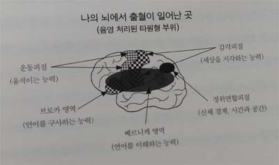 긍정의 뇌(Jill Bolte Tayler) - Books - 산을보라