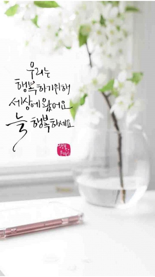 어린이집 김장배추 심는 방법 어린이집 김장배추 심는시기어린이집 김장무 심는시기김장배추 잘기르는 요령김장배추 재배방법김장