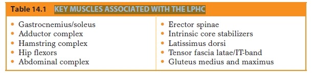 lumbar-pelvis-hip compex overhead squat, one leg squat 검사결과와 치료법 - 정리중 ...