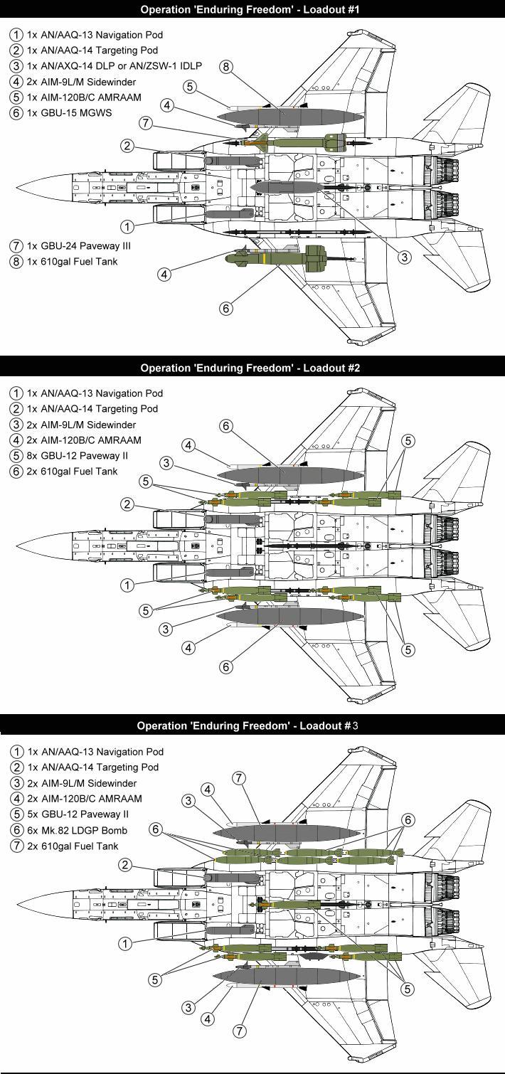 미공군의 종심타격기 F-15E STRIKE EAGLE 설정자료 - Ⅱ 정보 & 자료실 - 미라지의 콤프방