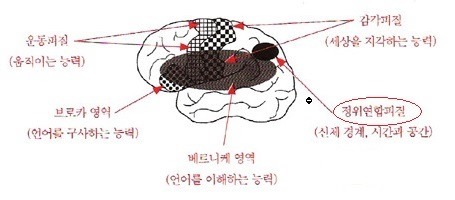 긍정의 뇌(Jill Bolte Tayler) - Books - 산을보라