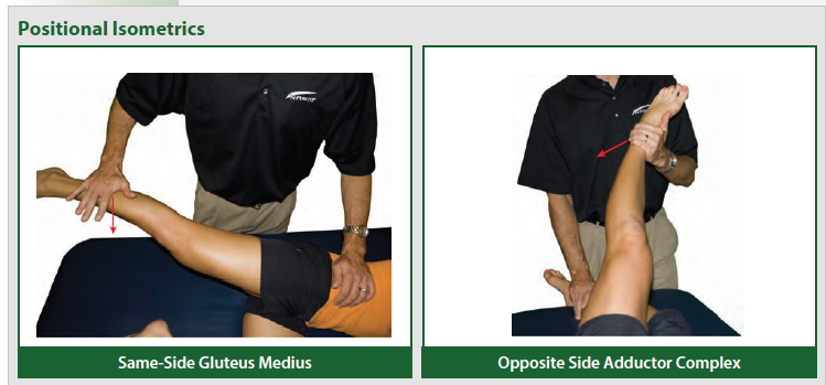 lumbar-pelvis-hip compex overhead squat, one leg squat 검사결과와 치료법 - 정리중 ...