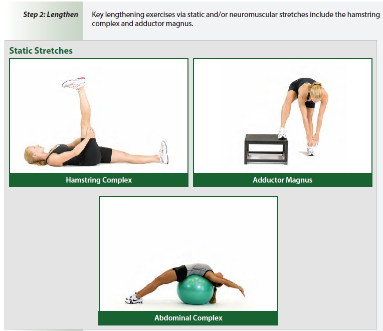 lumbar-pelvis-hip compex overhead squat, one leg squat 검사결과와 치료법 - 정리중 ...