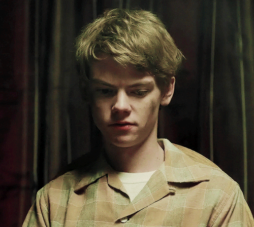 줌1이 한 작품에서 보고싶은 90년생 동갑내기 해외 남배우들.jpgif (데이터ㅈㅇ) - 동네마당 - 소주담(談) : 소소한 ...