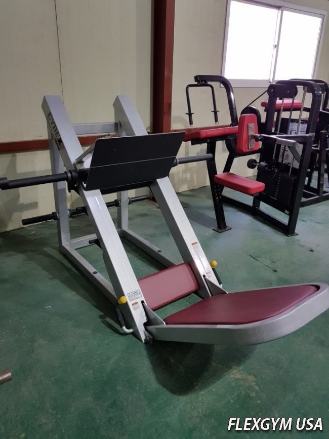 오픈용 사이벡스vr1(신형),라이프프로2,호이스트세트판매합니다. - 중고거래 장터 - 보디빌딩존