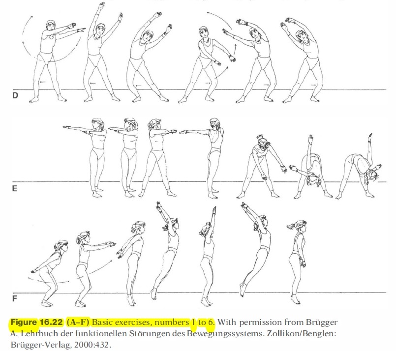 브뤼거가 제안한 이상적인 몸 자세와 움직임을 위한 6가지 기본 운동 - 치료적맞춤운동 - 치료적 맞춤운동, 비타미네, 영성 연구소