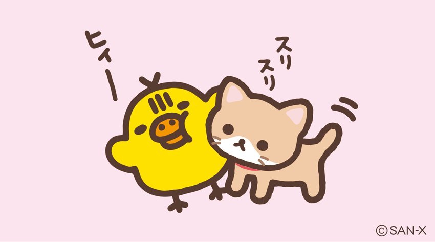 ＊리락쿠마 이미지＊13 - └ 잇게시판(콧멍으로 편입) - ＊여성시대＊ 차분한 20대들의 알흠다운 공간