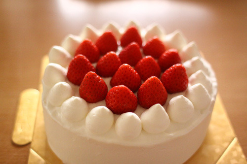 딸기 먹을래? [BGM 有] - 악플달면 쩌리쩌려버려 - ＊여성시대＊ 차분한 20대들의 알흠다운 공간