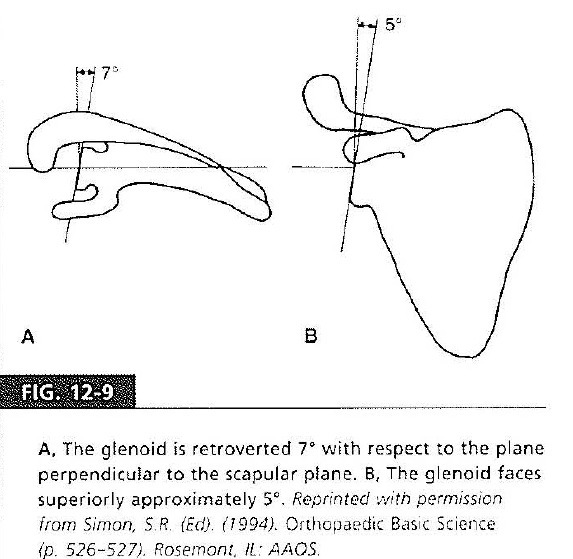 활액 관절의 open pack and closed pack position 그리고 관절가동의 기본 원리 - 해부학, 생체역학 ...