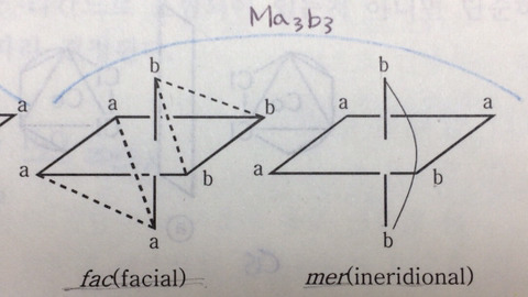 거울상 이성질체