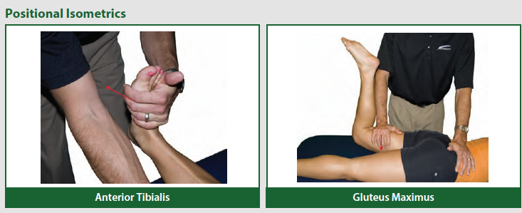 lumbar-pelvis-hip compex overhead squat, one leg squat 검사결과와 치료법 - 정리중 ...