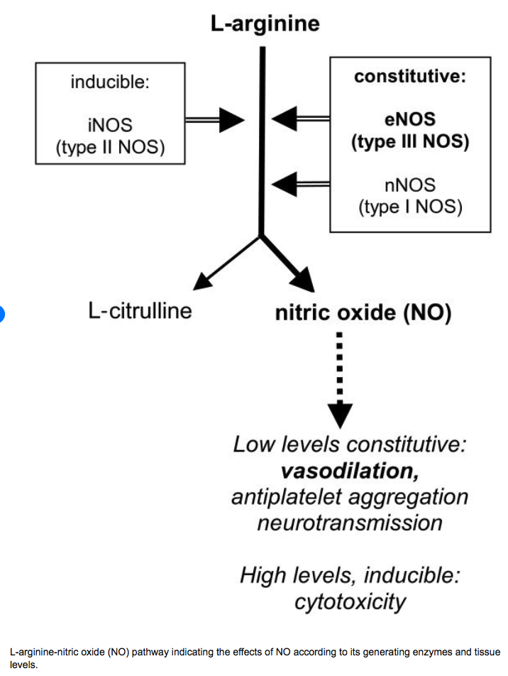 Arginine and the metabolic regulation of nitric oxide synthesis in ...