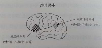 긍정의 뇌(Jill Bolte Tayler) - Books - 산을보라