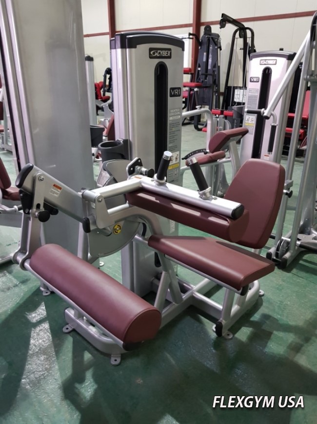 오픈용 사이벡스vr1(신형),라이프프로2,호이스트세트판매합니다. - 중고거래 장터 - 보디빌딩존