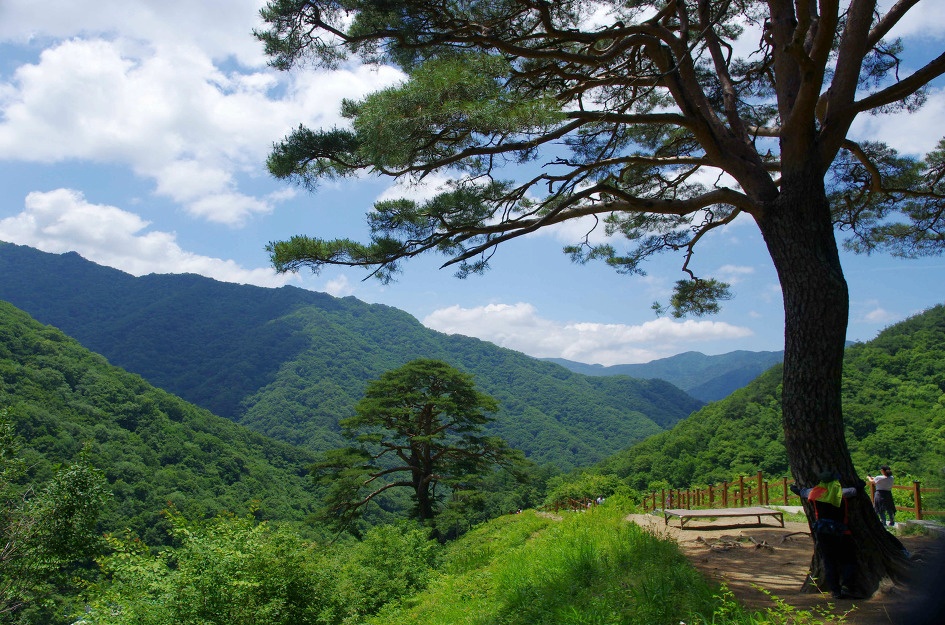 지리산 뱀사골 계곡 산행 (산행지 추천) - 등산관련 정보자료실 - 문경 푸름산악회