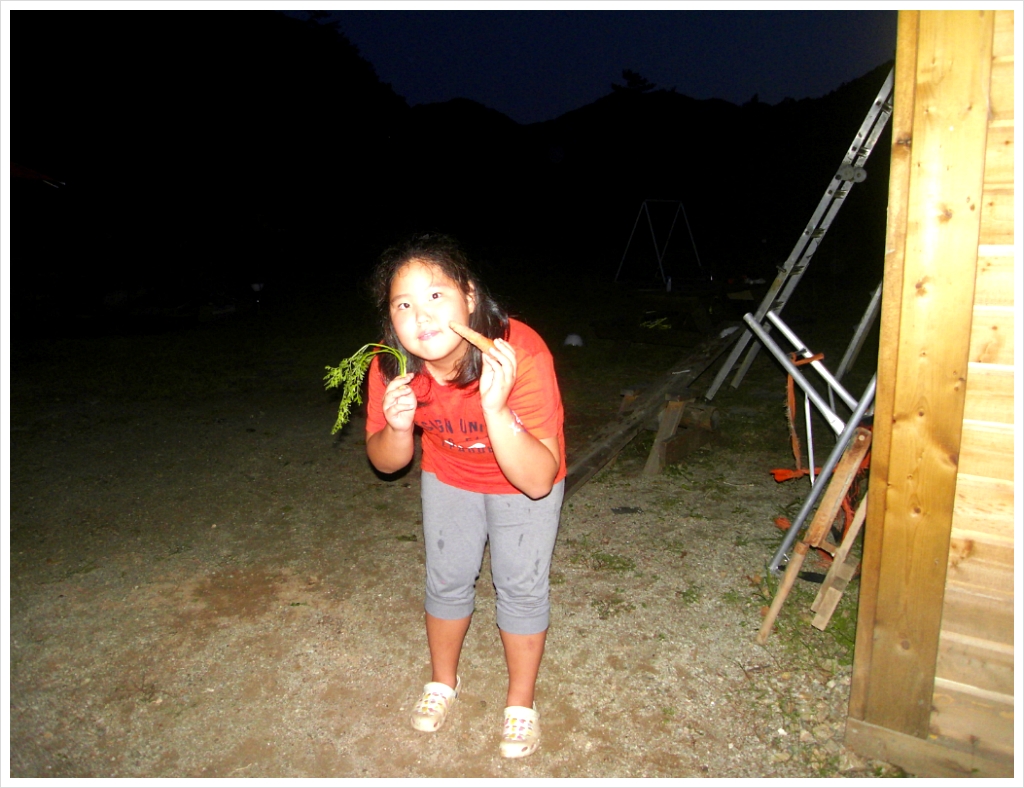 당근을 정말 좋아하는 사랑이와 망고 ^^ - 꿈&들의 음악 이야기 - 운수골의 꿈엔들