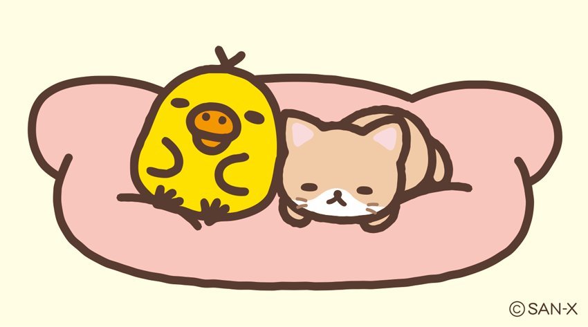 ＊리락쿠마 이미지＊13 - └ 잇게시판(콧멍으로 편입) - ＊여성시대＊ 차분한 20대들의 알흠다운 공간