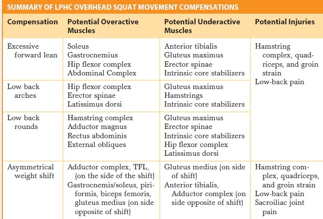 lumbar-pelvis-hip compex overhead squat, one leg squat 검사결과와 치료법 - 정리중 ...