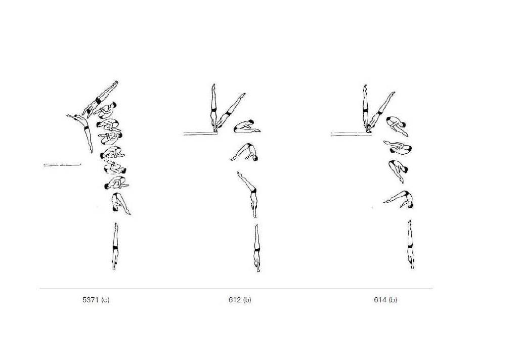다이빙 번호별 자세 (그림) - 다이빙 규정/규칙 - Korea Masters Diving