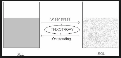 반드시 알아야 할 인체 물리학 용어2. 점탄성 완전성(thixotrophy) - 근육생리와 역학 - 치료적 맞춤운동, 비타미네 ...