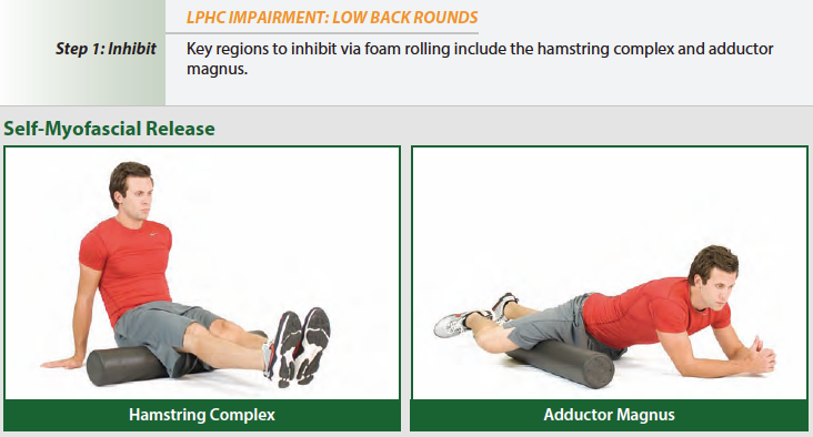lumbar-pelvis-hip compex overhead squat, one leg squat 검사결과와 치료법 - 정리중 ...
