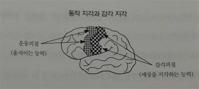 긍정의 뇌(Jill Bolte Tayler) - Books - 산을보라