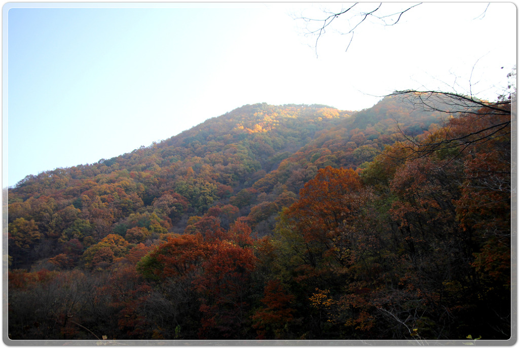 지리산 뱀사골, 와운마을 - 산행사진방 - 숲 향기 속으로