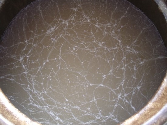 막걸리 만들기 - 낙서장 - 기공명상