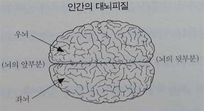 긍정의 뇌(Jill Bolte Tayler) - Books - 산을보라