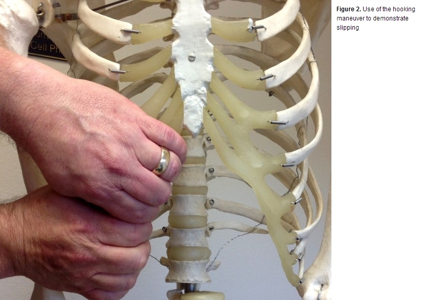 slipping ribs syndrome(티에체 증후군)의 진단과 수기치료법 - thoracic - 치료적 맞춤운동, 비타미네 ...