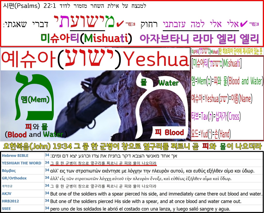 시편 22편 1절의 미슈아티(מישועתי)Mishuati란 히브리어 단어에 계시되어 있는 예슈아(ישוע)Yeshua님의 ...