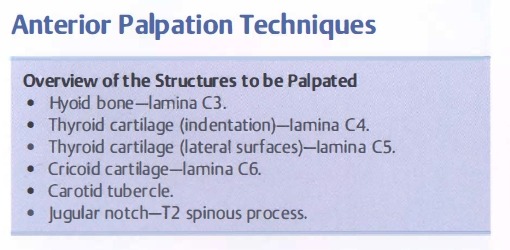 경추 전면부 촉진(hyoid bone, thyroid cartilage, thyroid gland와 경추 level의 관계 ...
