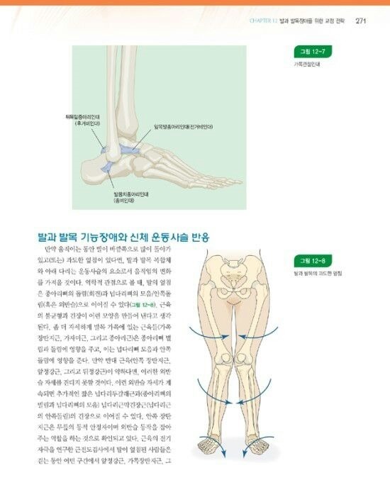 교정운동학 (NASM Essentials of Corrective Exercise Training) - 추천도서 - 건강한 물리치료사