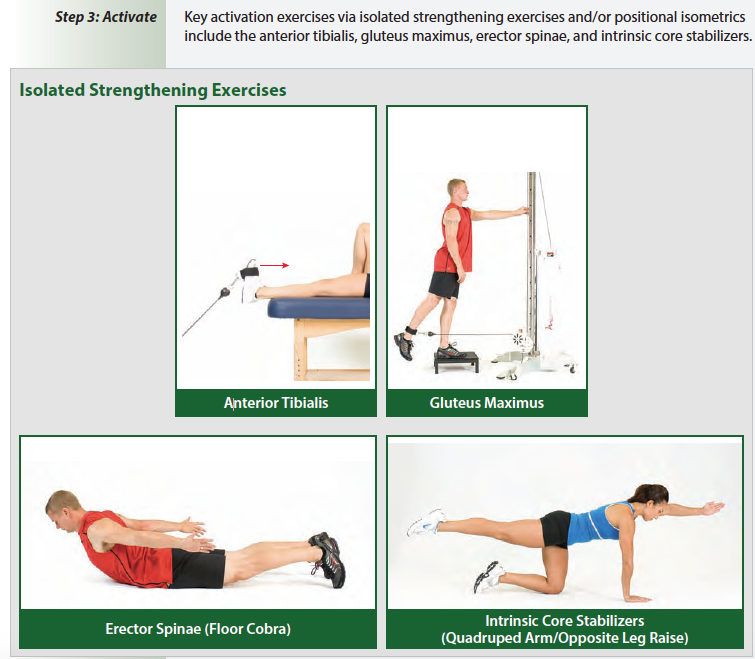 lumbar-pelvis-hip compex overhead squat, one leg squat 검사결과와 치료법 - 정리중 ...