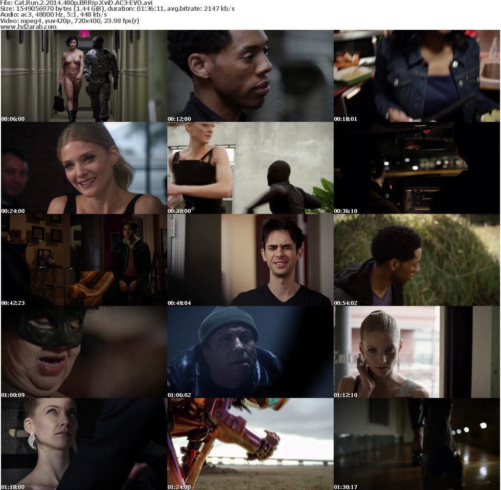 캣 런 2 (Cat Run 2, 2014) - 외국 - 여퐁칭구들