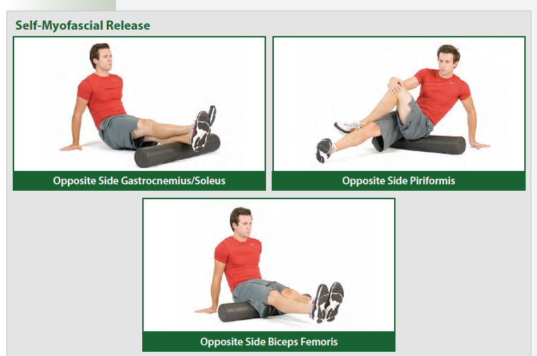 lumbar-pelvis-hip compex overhead squat, one leg squat 검사결과와 치료법 - 정리중 ...