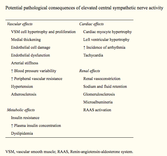 Re:Central Sympathetic Overactivity: Maladies and Mechanisms - 영적치유탐구 ...