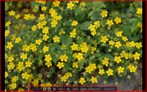 [알씨-Alsee_5] 주요기능(보기모드/ 일괄편집/ 이미지포멧변환 등...) - Alsee/PhotoX - 컴퓨터는 깡통