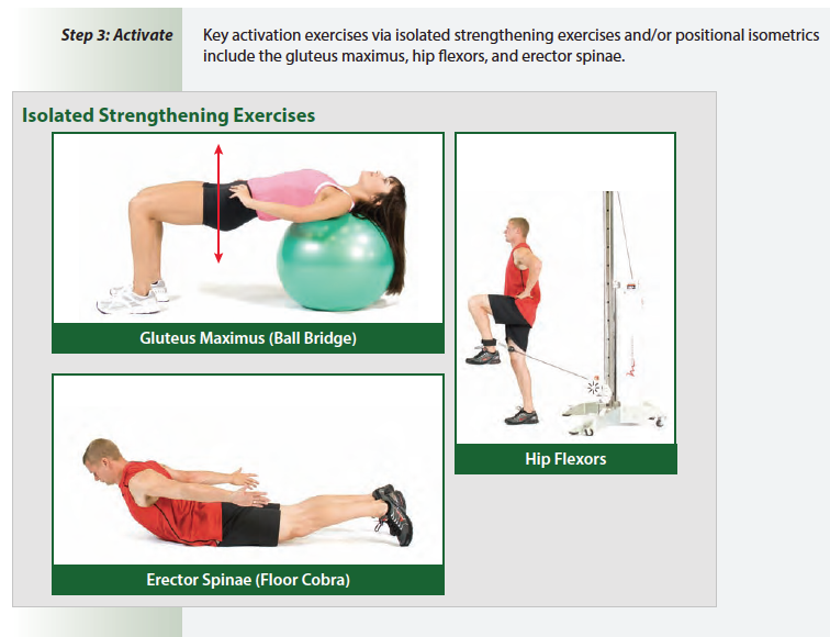lumbar-pelvis-hip compex overhead squat, one leg squat 검사결과와 치료법 - 정리중 ...