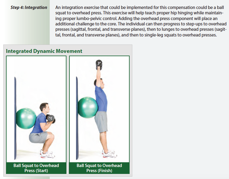 lumbar-pelvis-hip compex overhead squat, one leg squat 검사결과와 치료법 - 정리중 ...