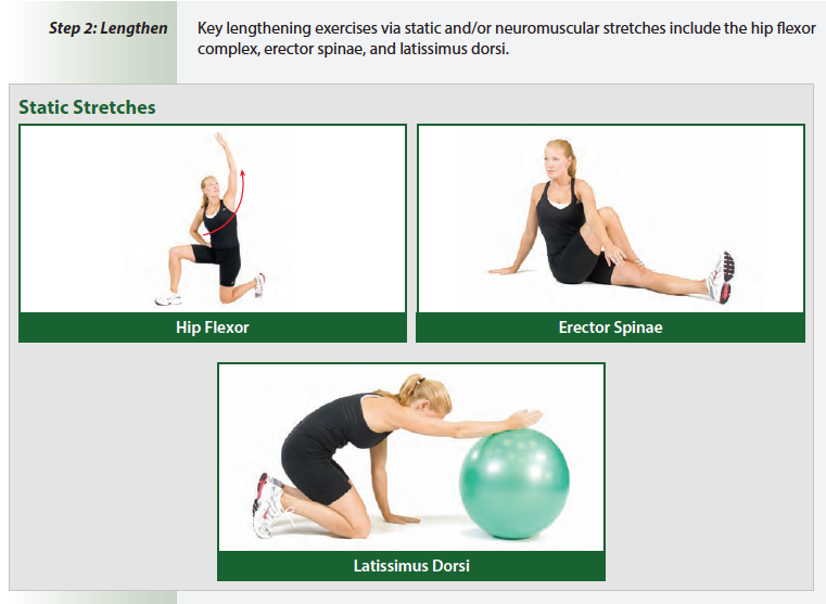 lumbar-pelvis-hip compex overhead squat, one leg squat 검사결과와 치료법 - 정리중 ...