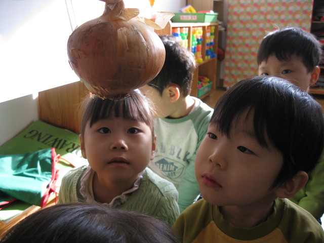 양파 키우기 양파싹 기르기 양파 수경재배 양파싹 틔우기 …┏한결농장 공개┓ 한결어린이집